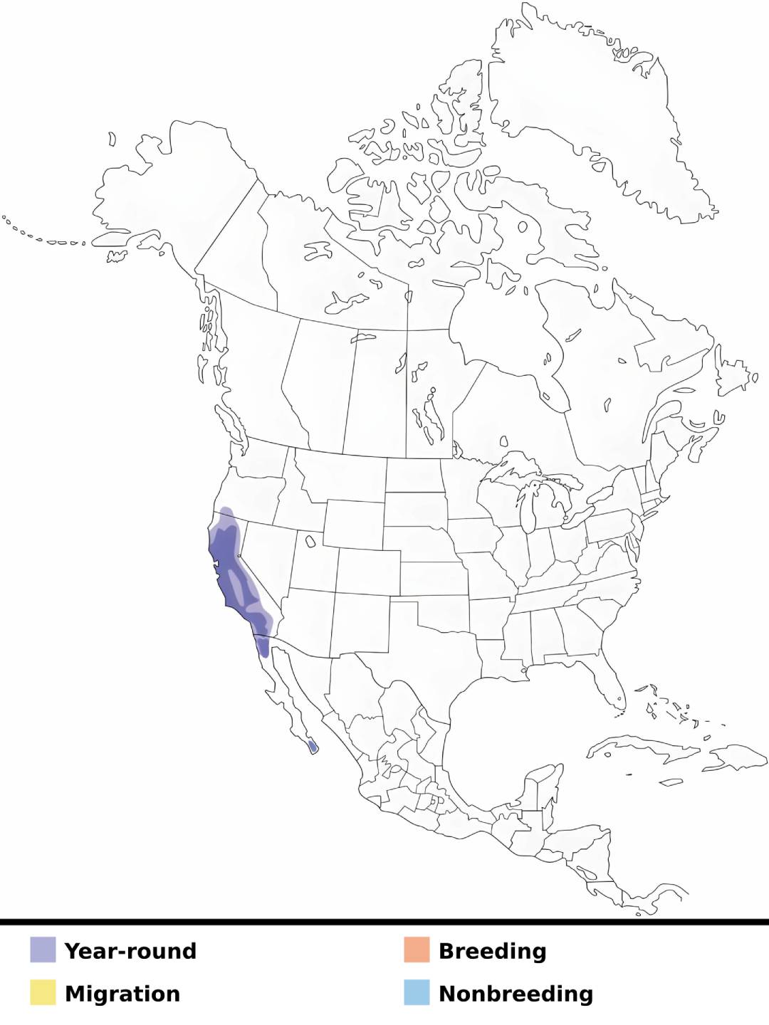 Oak Titmouse (Baeolophus inornatus): Identification, Habitat, Diet, and ...