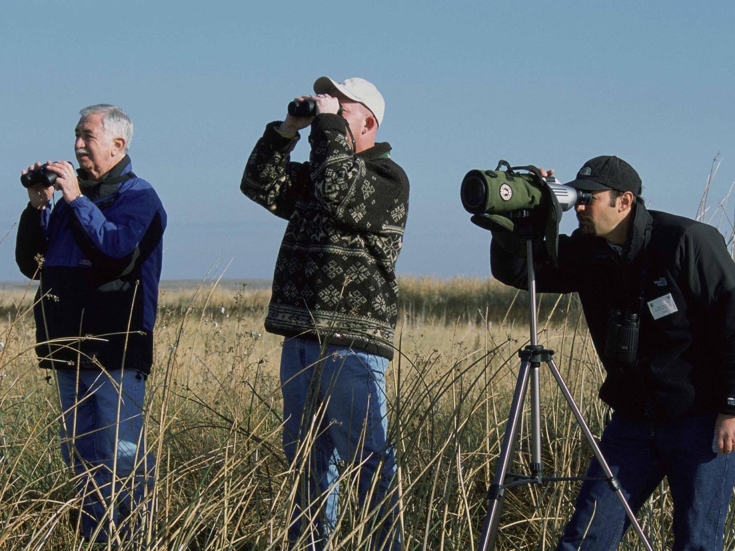 Spring Bird Migration: Best Spring Birdwatching Spots and Tips – Wing ...