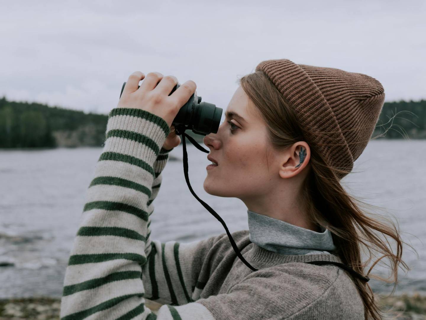 Spring Bird Migration: Best Spring Birdwatching Spots and Tips – Wing ...