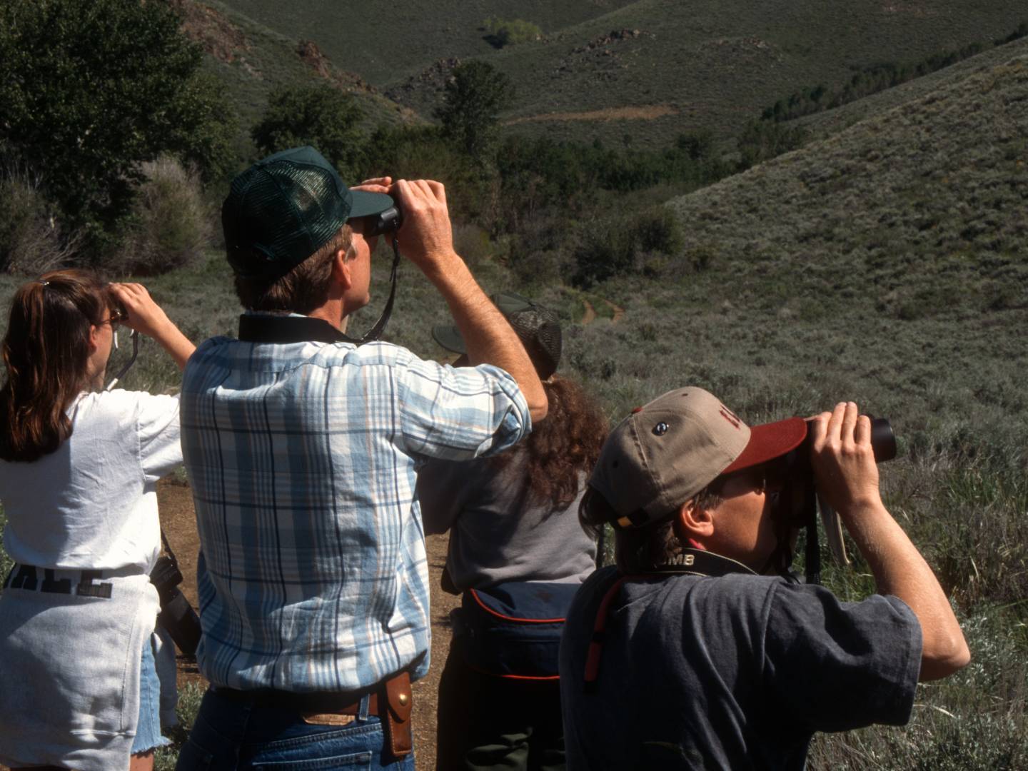 Spring Bird Migration: Best Spring Birdwatching Spots and Tips – Wing ...