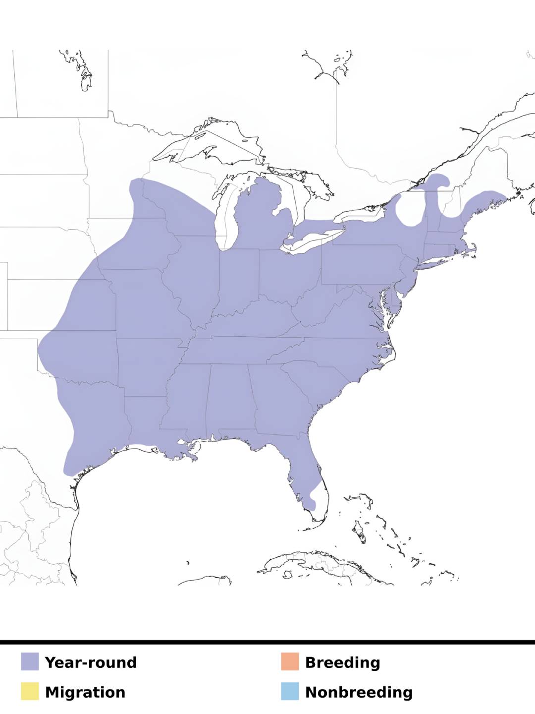 Tufted Titmouse (Baeolophus bicolor): Identification, Behavior, Diet ...