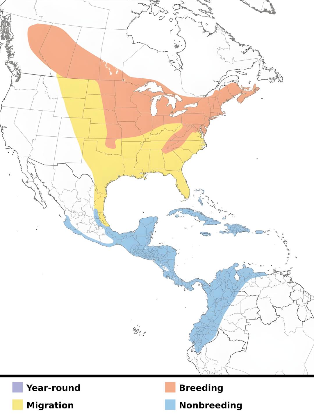 Rose-breasted Grosbeak (Pheucticus ludovicianus): A Complete Guide ...